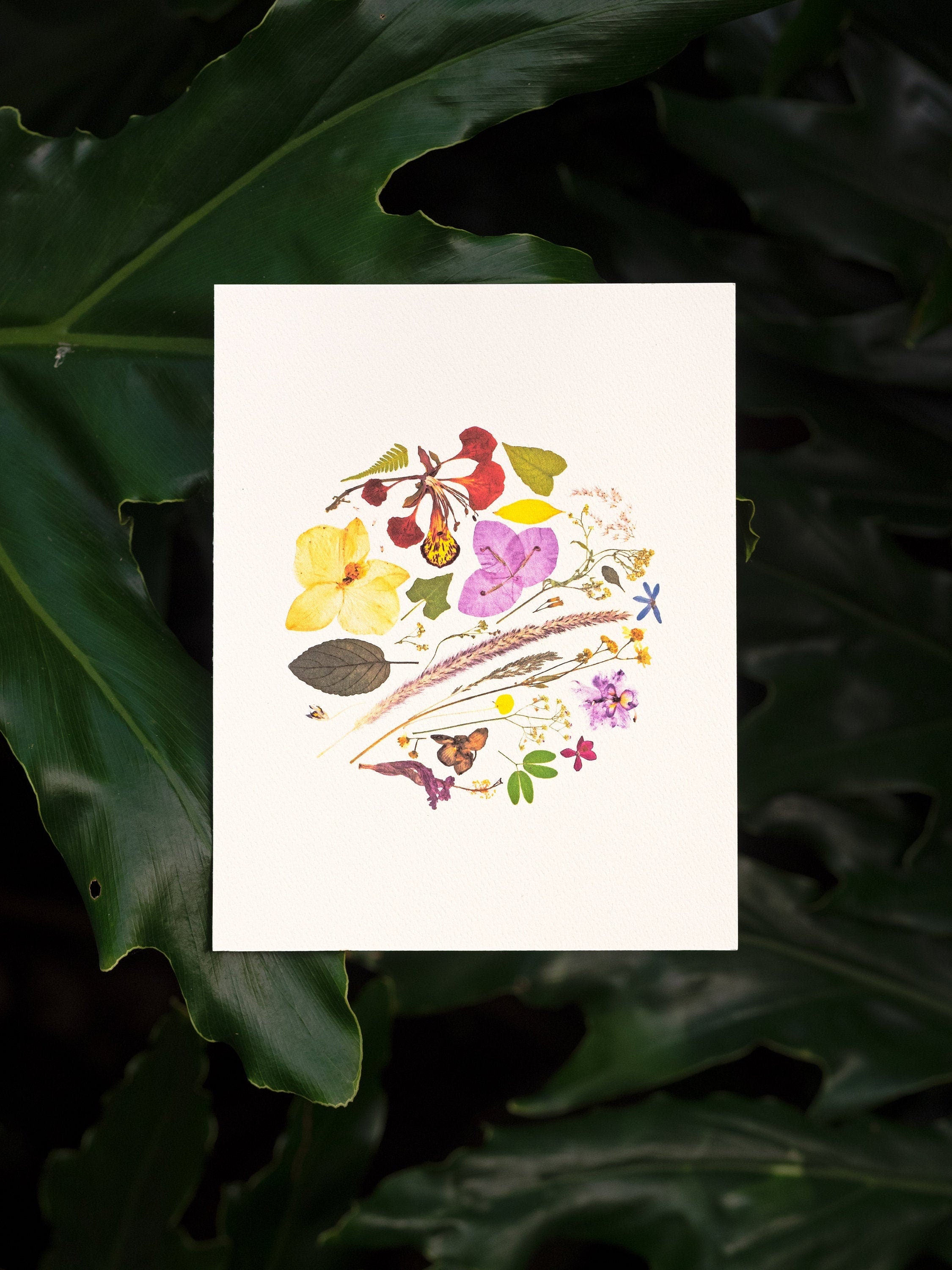 Dried Flowers Art Print – Pupa by Gio